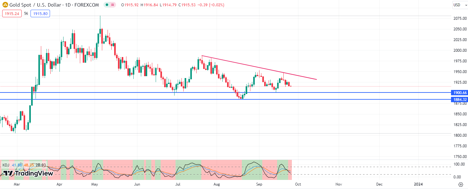 Find the latest trading info and forex trading ideas at XTrend Speed ...